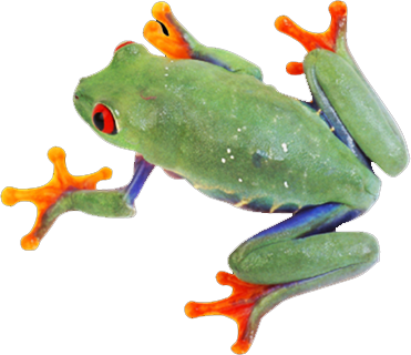 The Local Paper – Ketchikan, Alaska